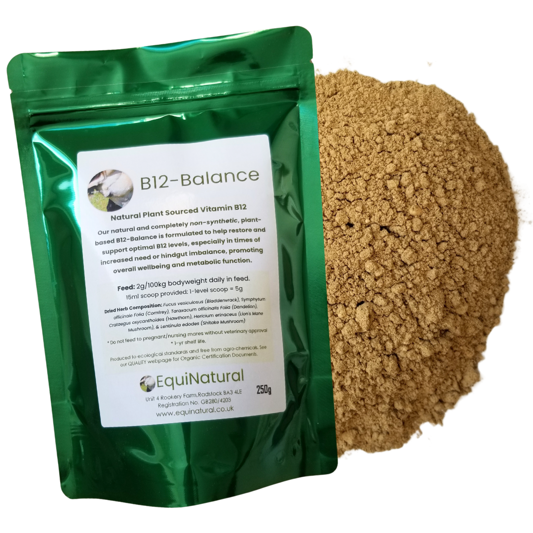 B12-BALANCE *Natural plant-based vitamin B12 for energy, metabolism ...