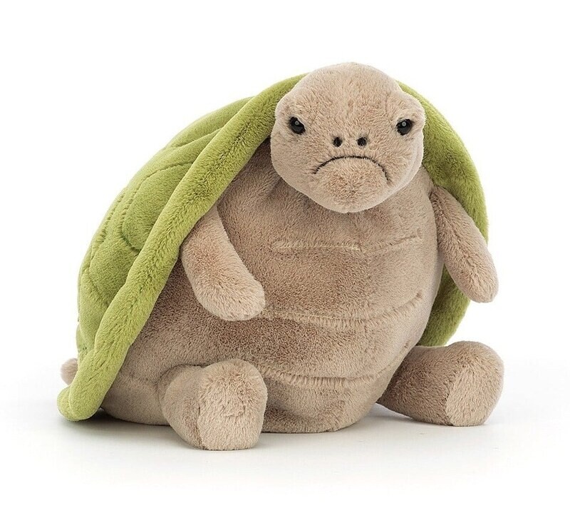 Timmy Turtle