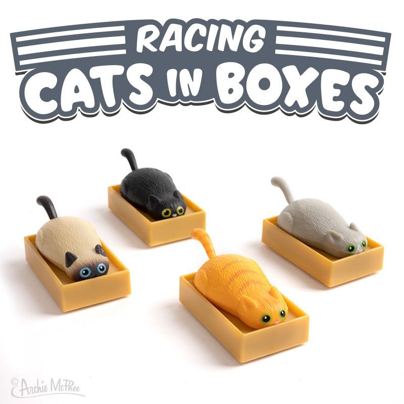 Racing Cats in Boxes Assorted