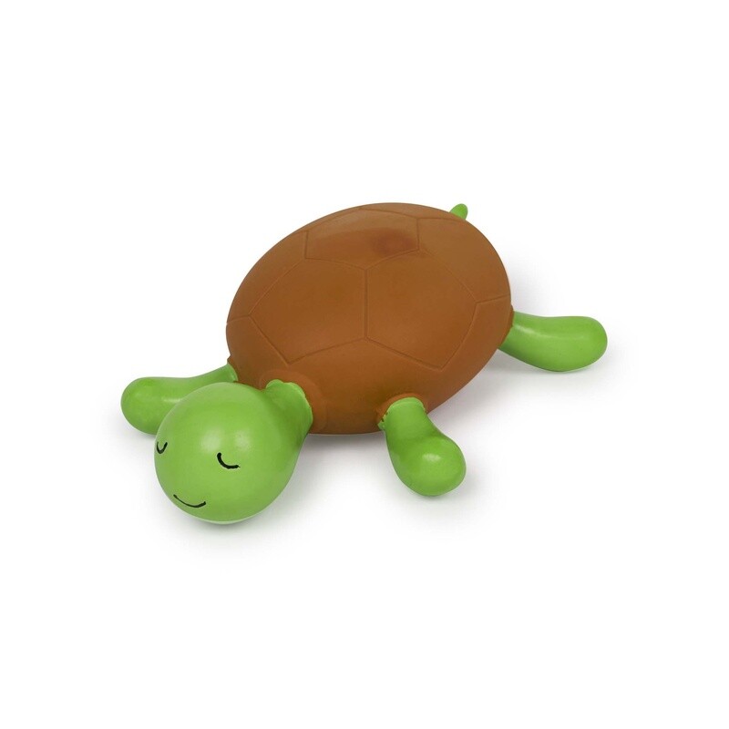 Chomp the Turtle