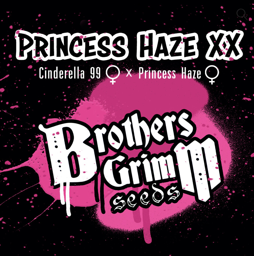 Princess Haze XX Seeds