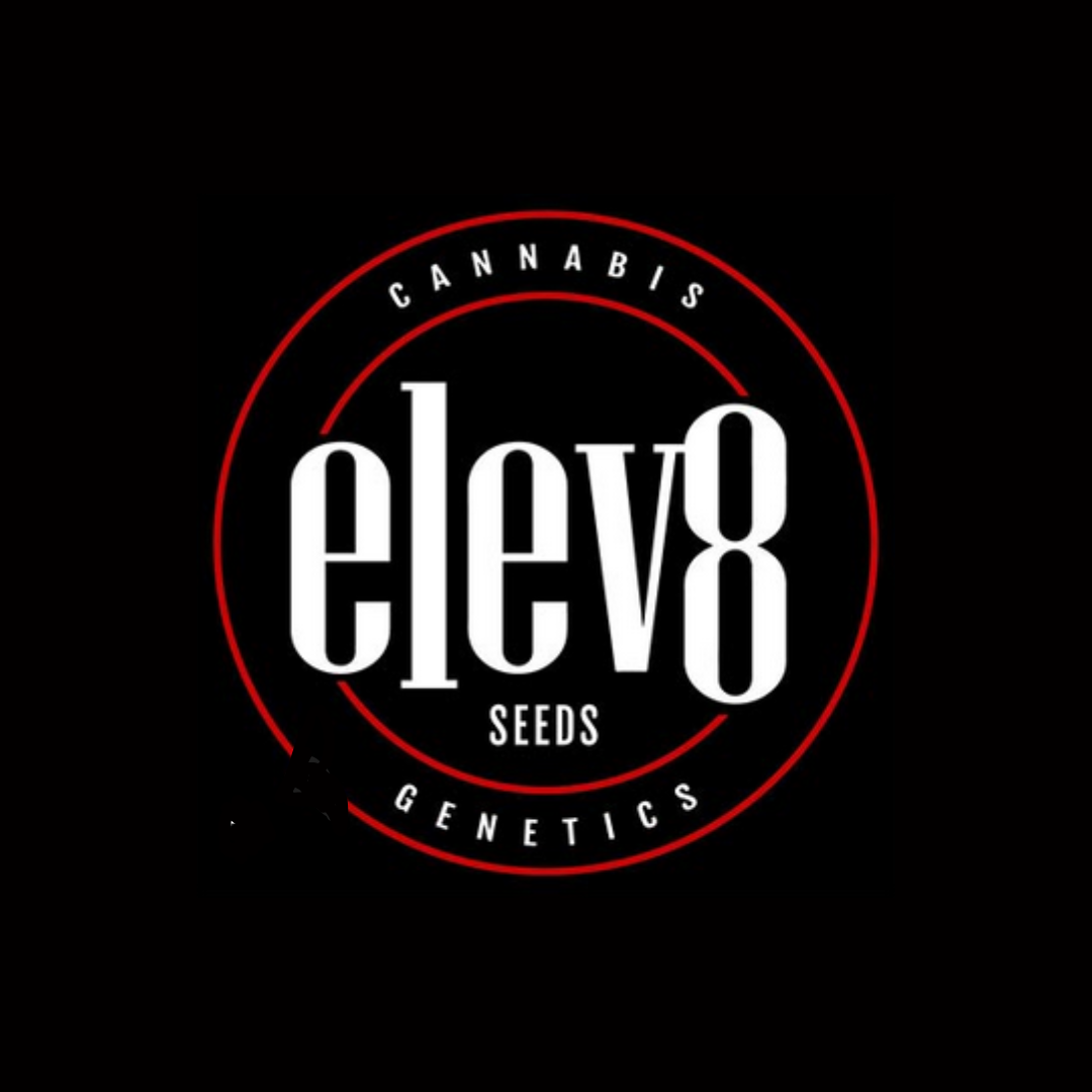 Elev8 Seed Company Cannabis Seeds | Buy Weed Seeds Online USA