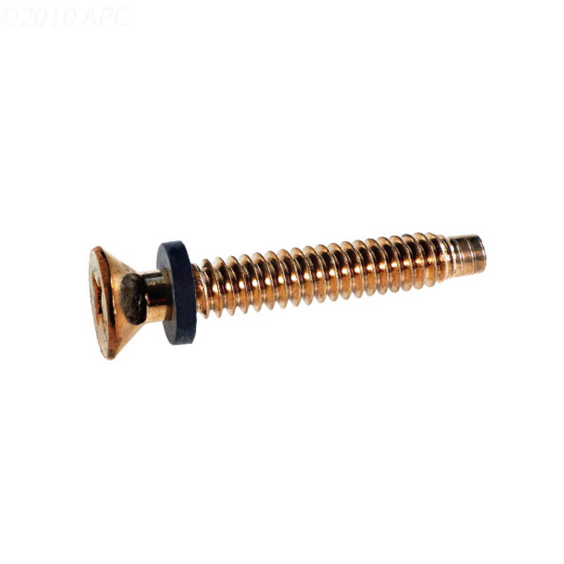 Pentair IntelliBrite Brass Pilot Screw