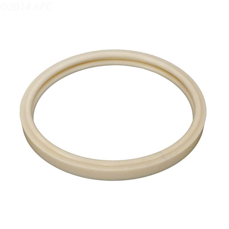 Pentair IntelliBrite Lens Gasket