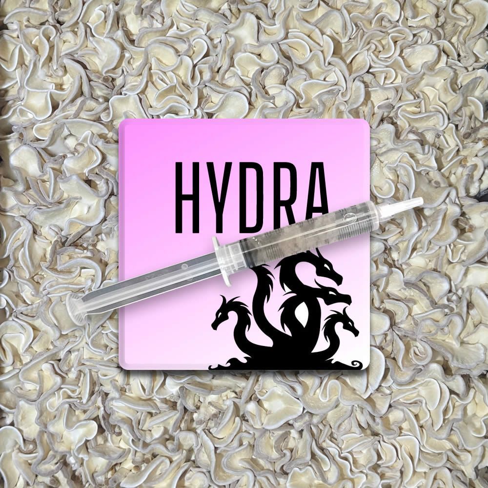 Infinity LC - Liquid Culture and Spores for Mycology Research