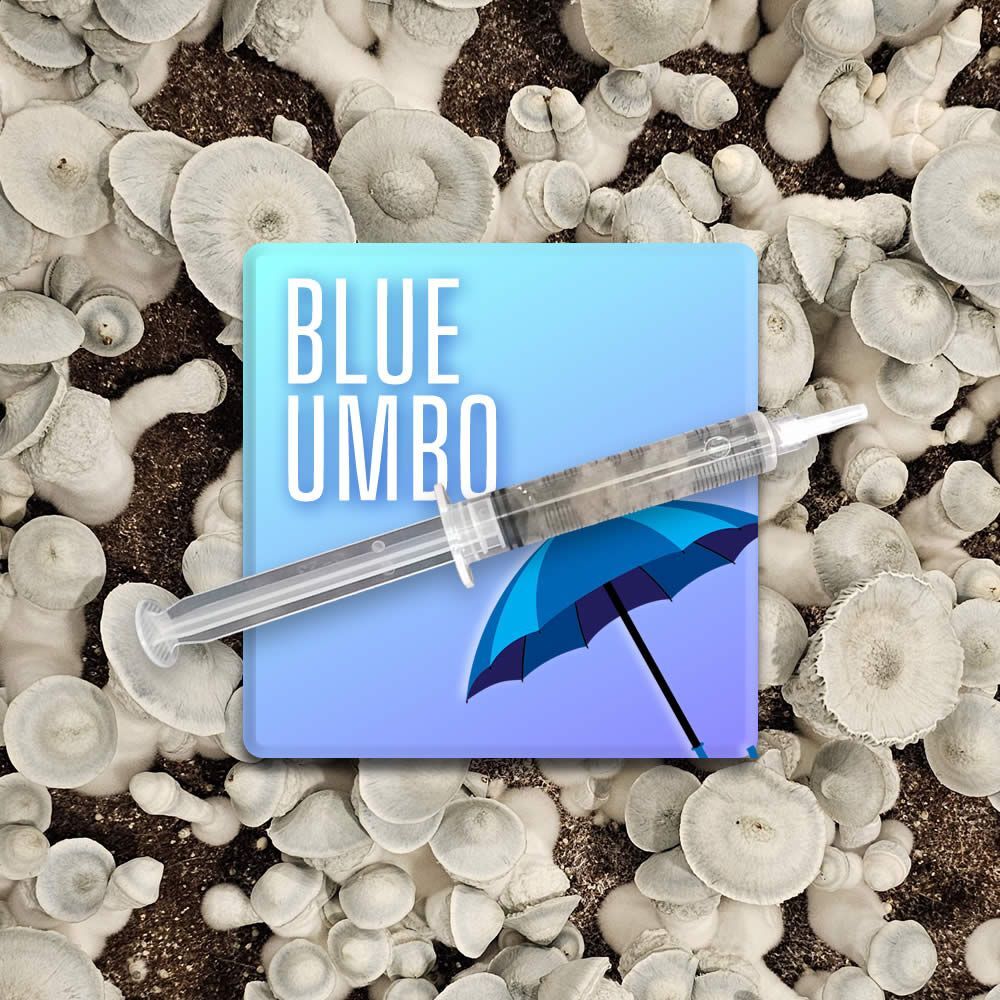 Infinity LC - Liquid Culture and Spores for Mycology Research