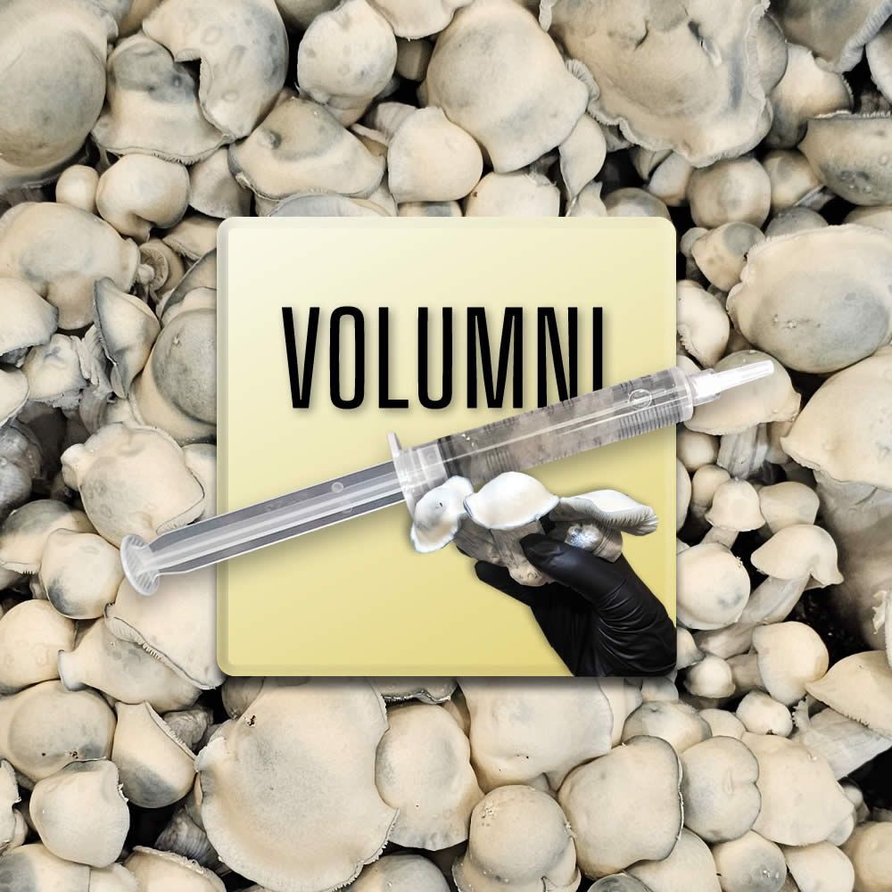 Infinity LC - Liquid Culture and Spores for Mycology Research