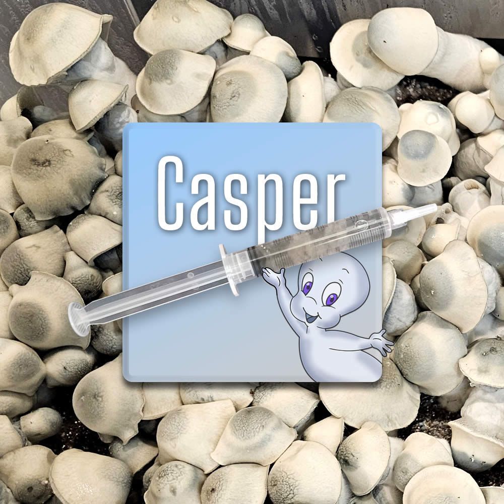 Infinity LC - Liquid Culture and Spores for Mycology Research