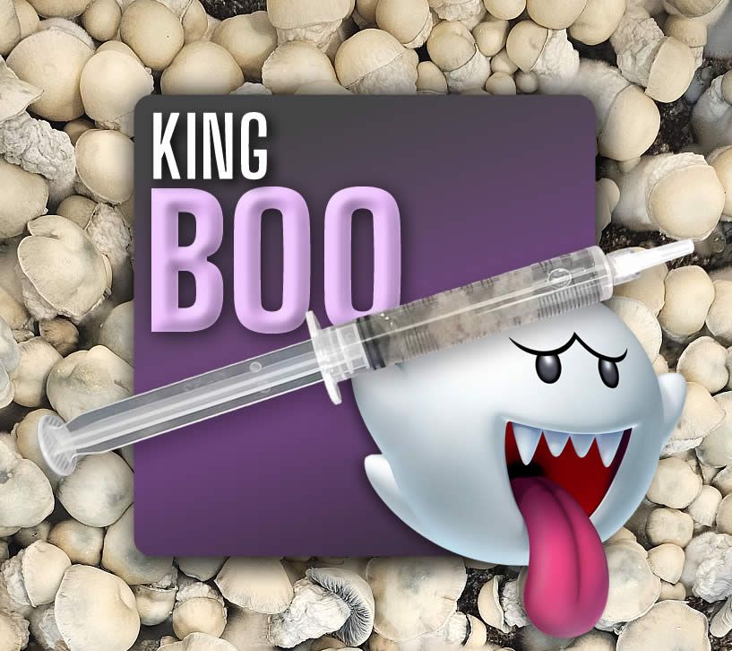 Infinity LC - Liquid Culture and Spores for Mycology Research