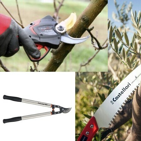 Pruning Equipment - Shop