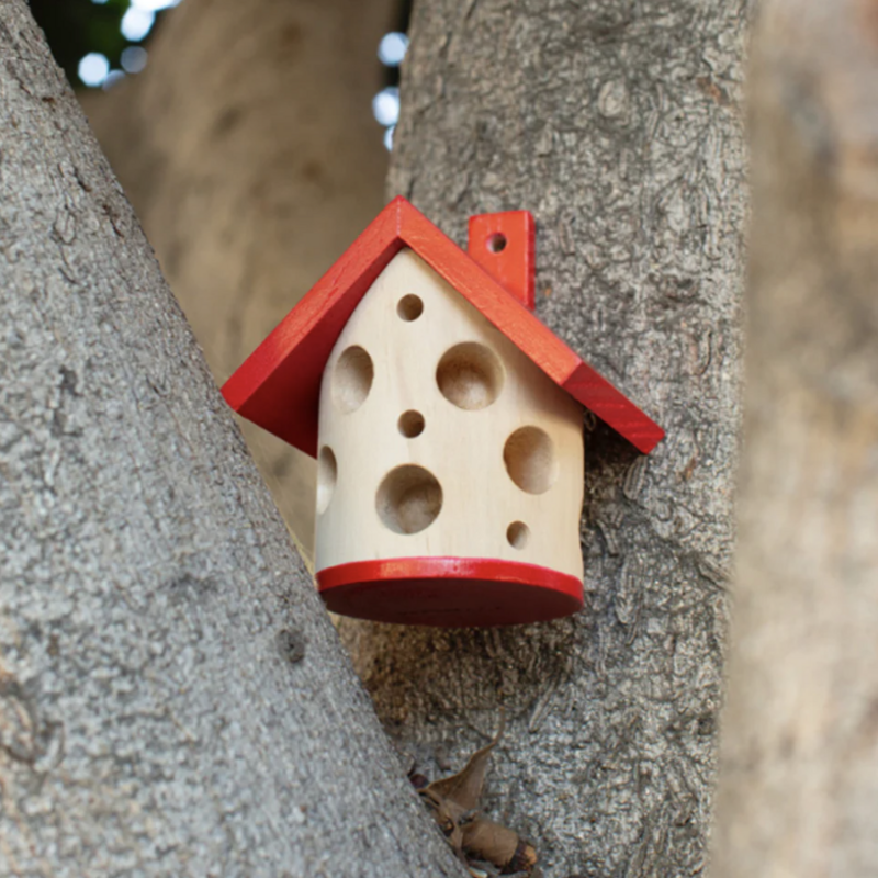 Ladybug House