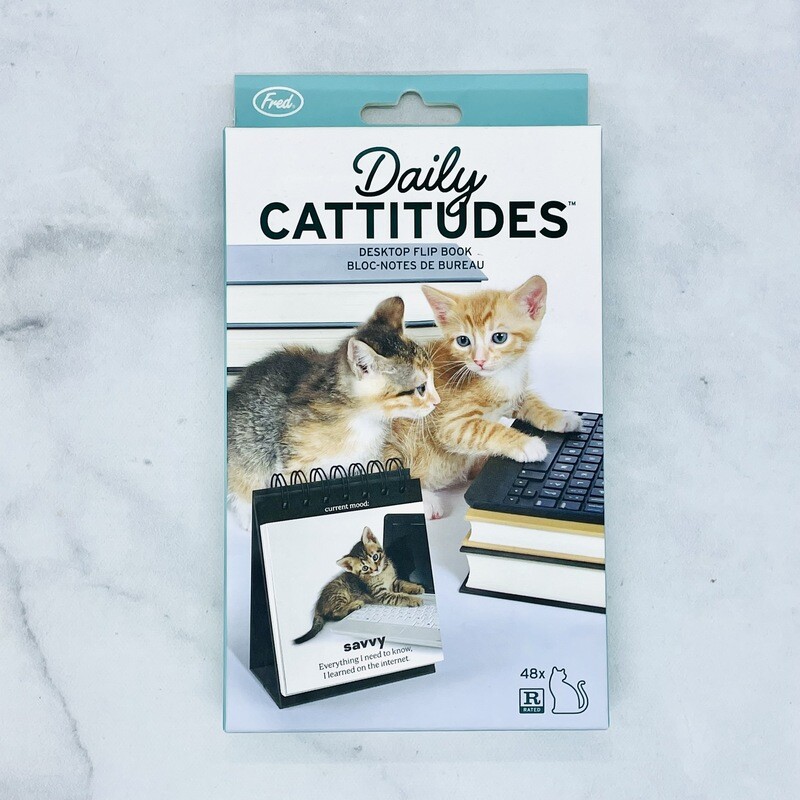 Daily Cattitudes