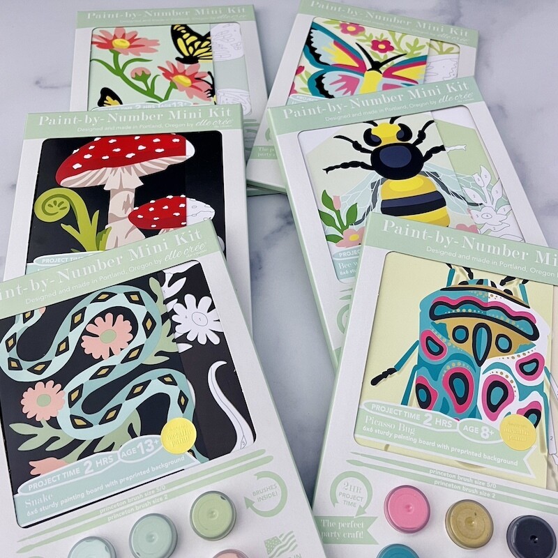 Kids Mini Paint-by-Number Kit