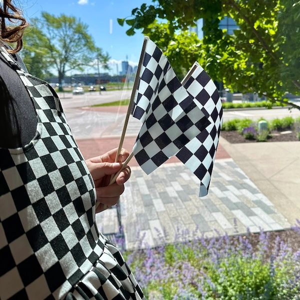 Flags for Good Checkered Stick Flag
