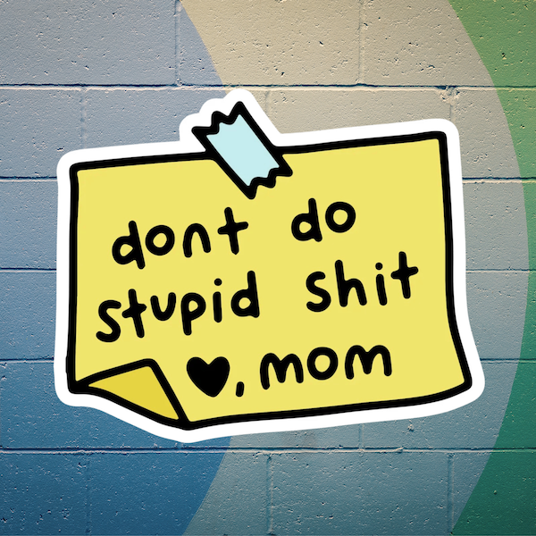 Don't Do Stupid Shit Sticker
