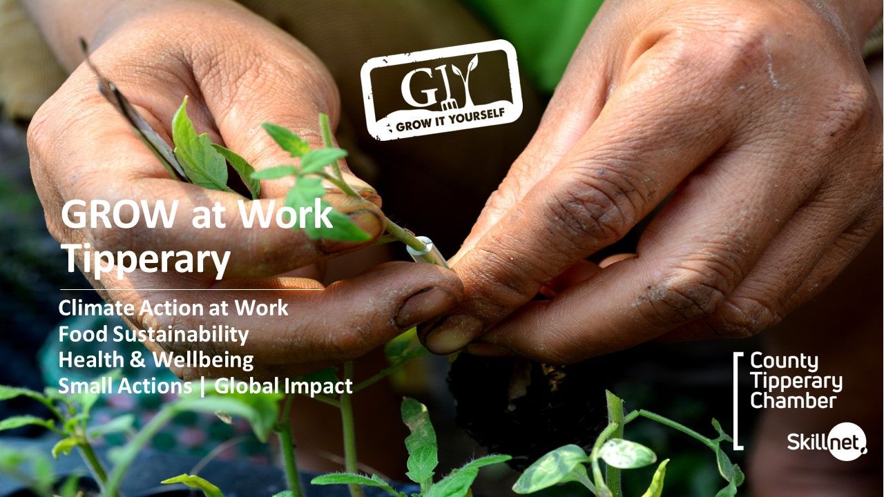 Grow at Work Tipperary - Expressions of Interest