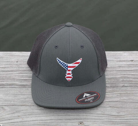 Chasing Tail Flex Fit Graphite / American Tail