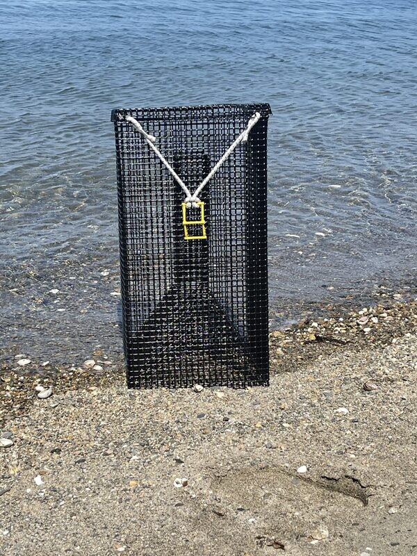 Eel Pot 1/2" Wire Mesh