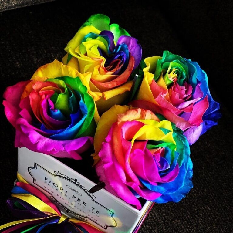 Rainbow Roses Bouquet