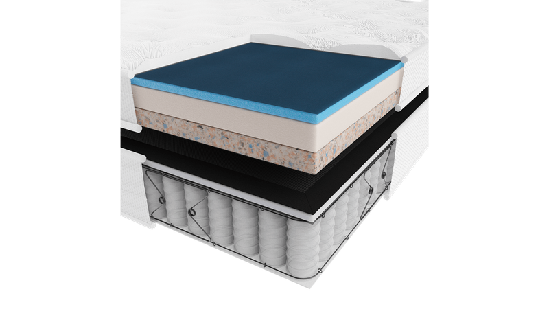 Signature Collection