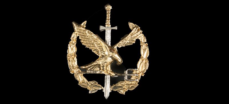 South African Police Special Task Force Operator Badge