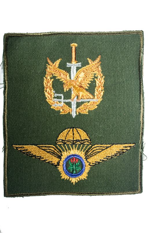 South African Police Special Task Force Operator Badge