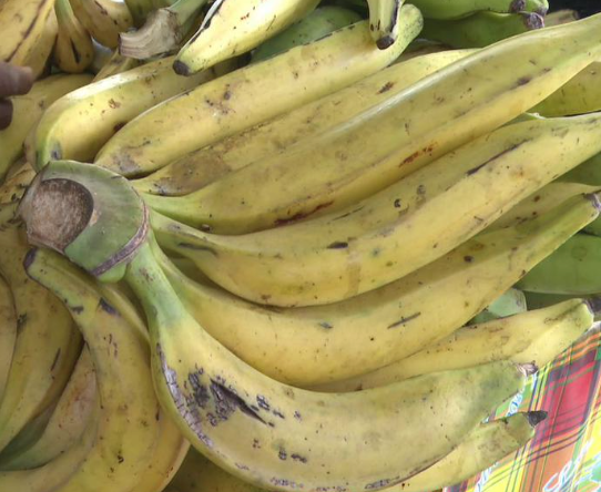 Banane Plantain Aloco