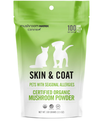 Ashario Pets Online Store