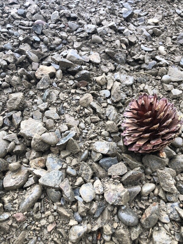 Bulk Bin Products - ONLINE SHOP - The Landscape Supply Yard