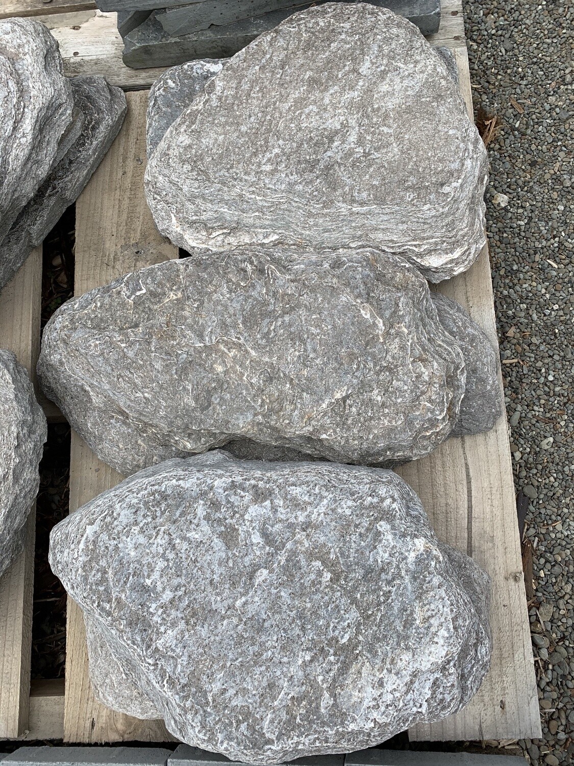 Schist Paver (each) - Medium - ONLINE SHOP - The Landscape Supply Yard