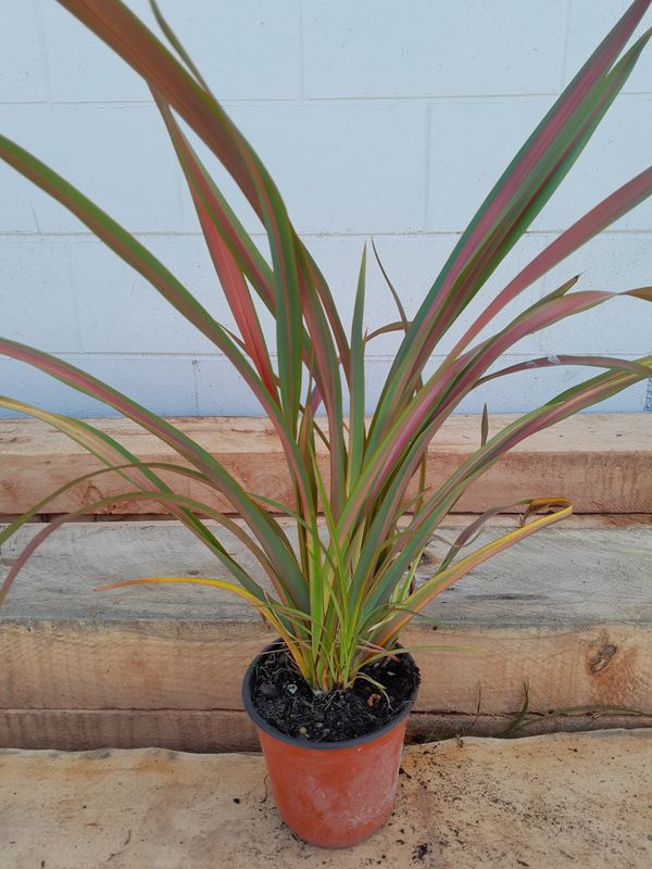 ONLINE STORE - The Landscape Supply Yard