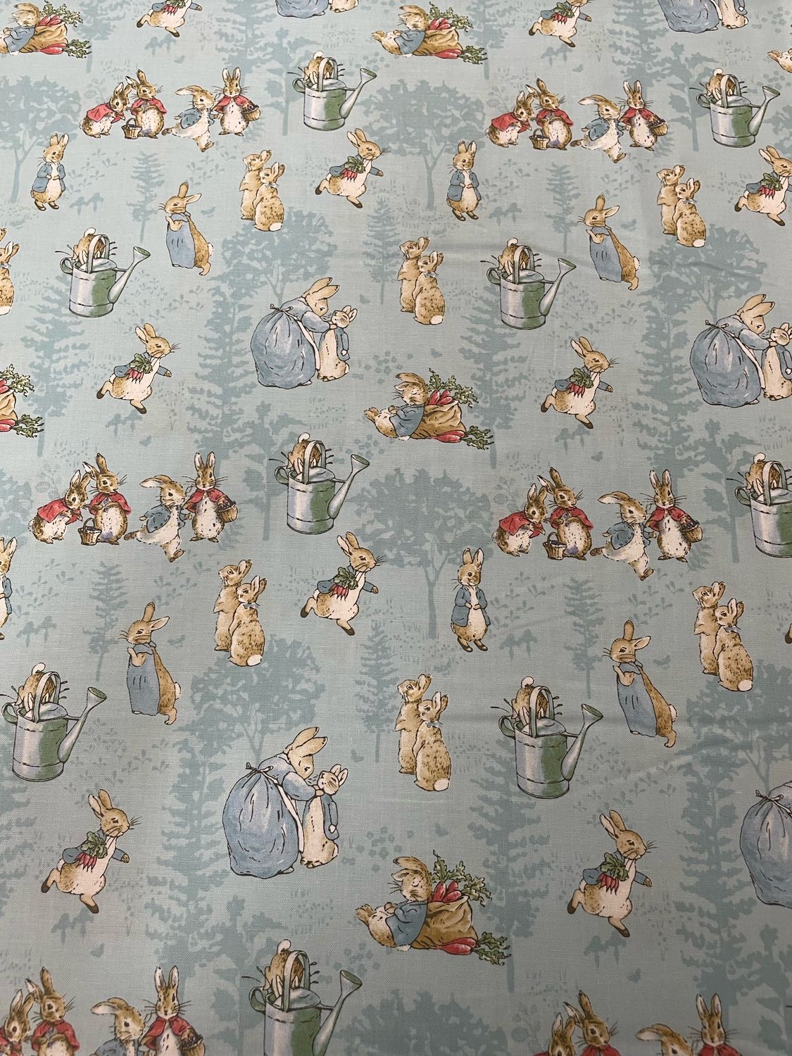 Peter Rabbit - Main Blue