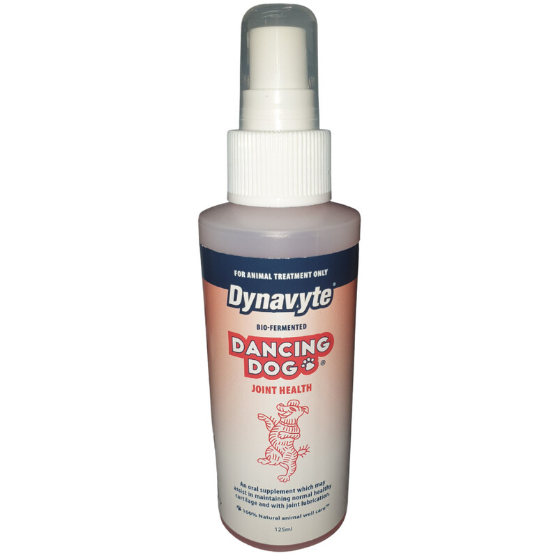 Dynavyte Dancing Dog