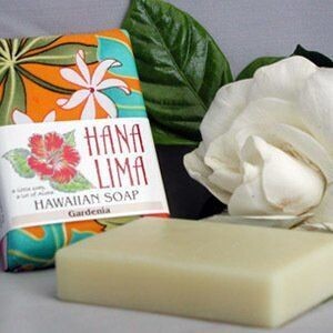 Hawaii's Gift Baskets - Gourmet Hawaiian Gift Baskets from the Big ...