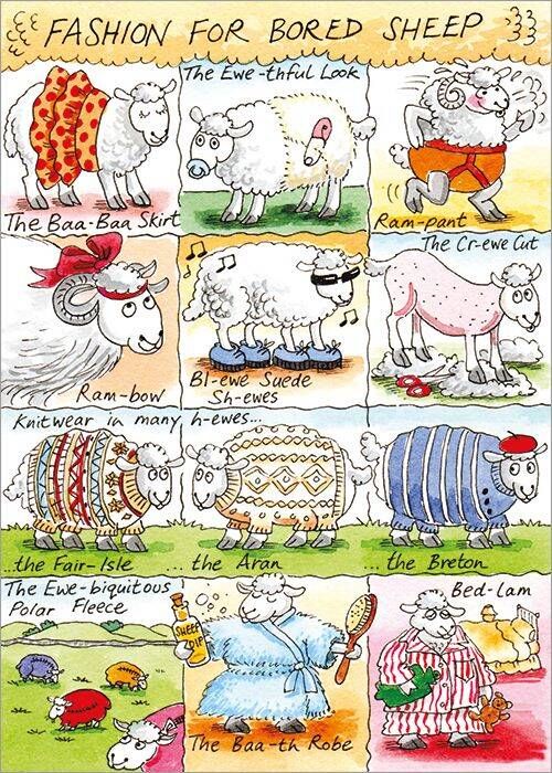 Fashion For Bored Sheep Card - Online Shop - Sarah Loves Cards
