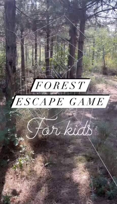 Forest escape game
