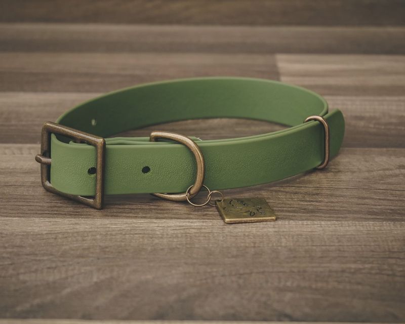 Waxed Canvas Collar & Lead