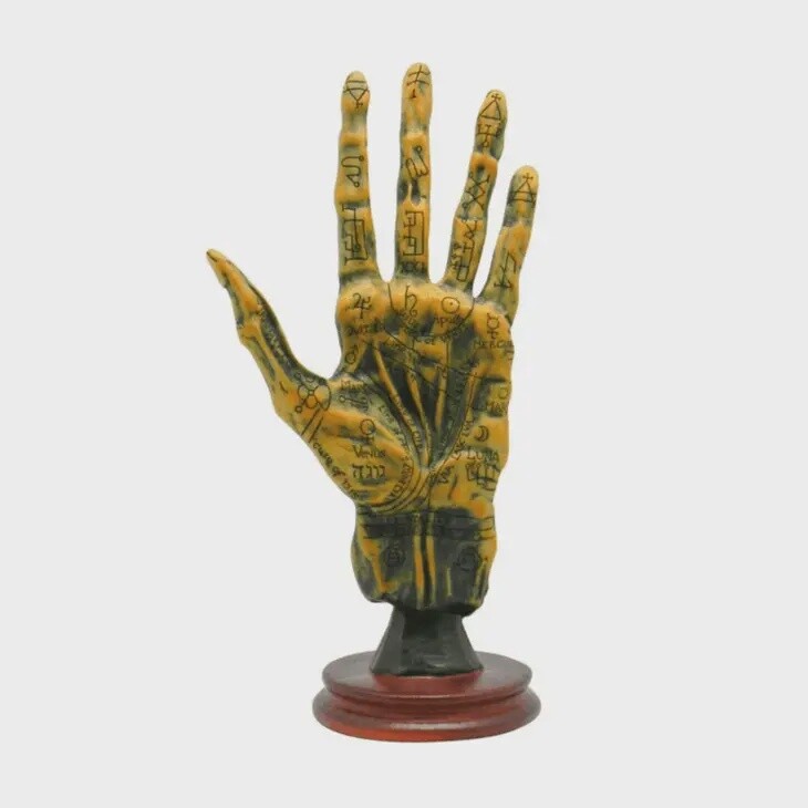 Alchemy Palmistry Hand