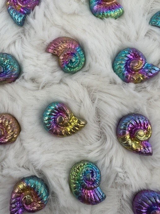Bismuth Shell