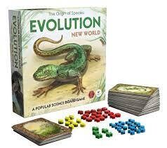 STORE – Level Up Games