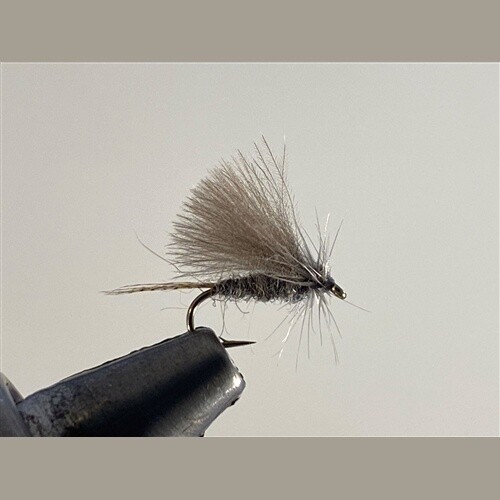 BLUE DUN EMERGER