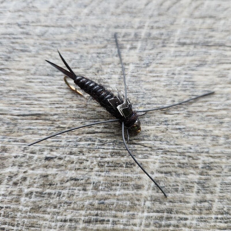 X-LEG BLACK STONEFLY NYMPH