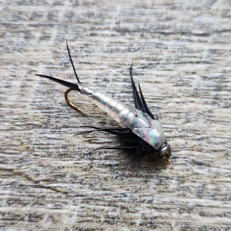 BLACK GUMMY STONEFLY NYMPH
