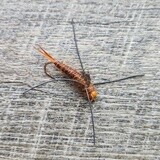 TUNGSTEN NYMPHS