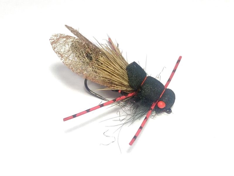 CICADA #8