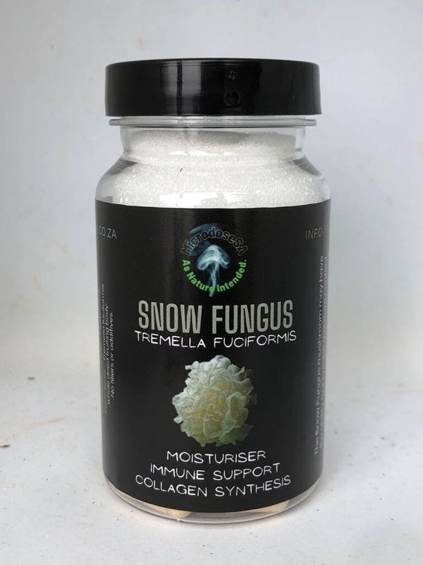 Snow Fungus