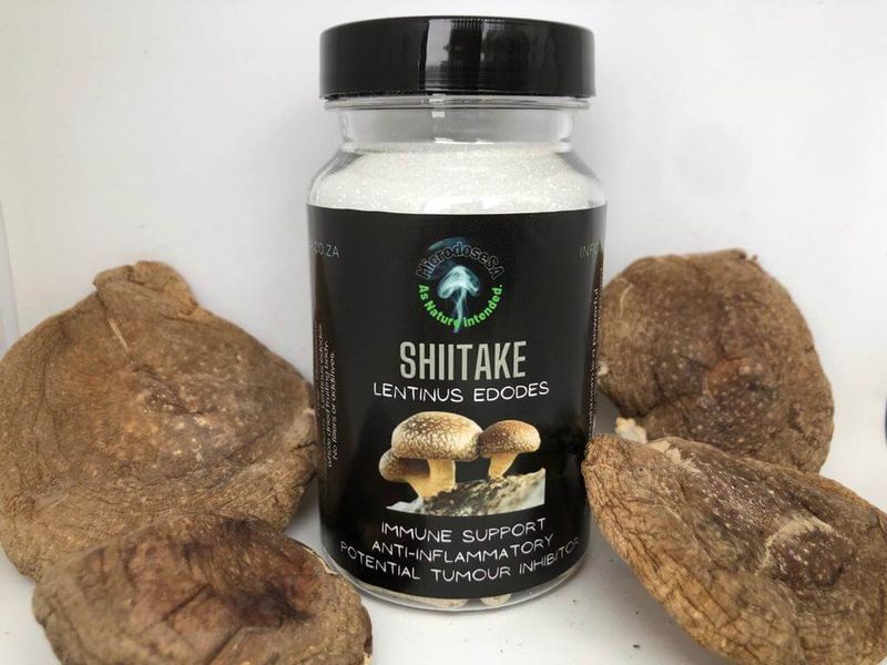 Shiitake