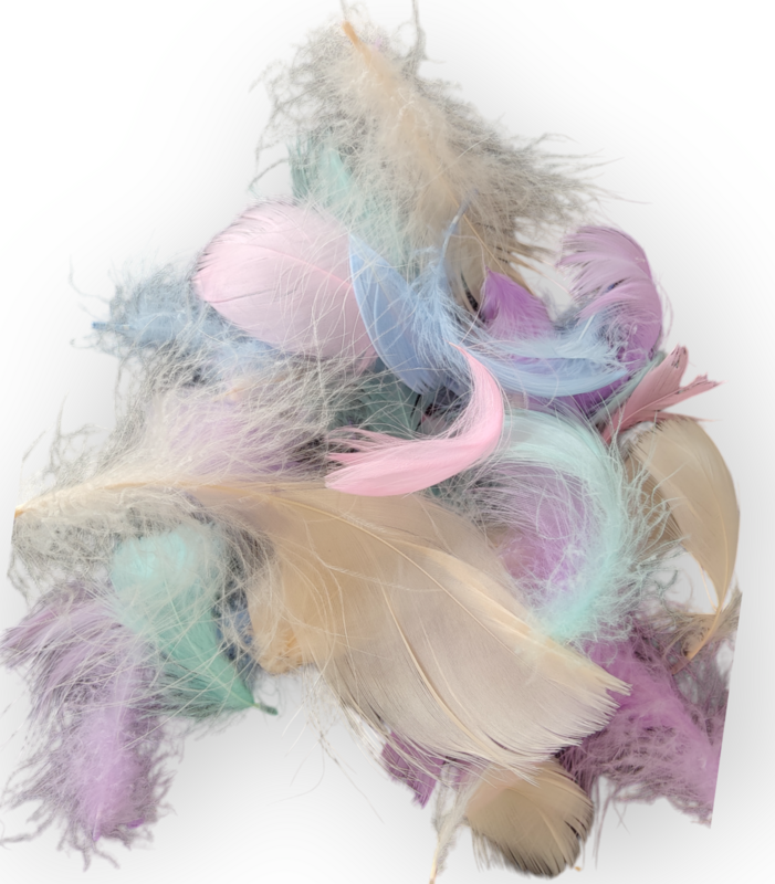 Mixed Coloured Feathers (30pcs)