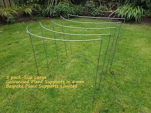 Bespoke Plant Supports Store Page