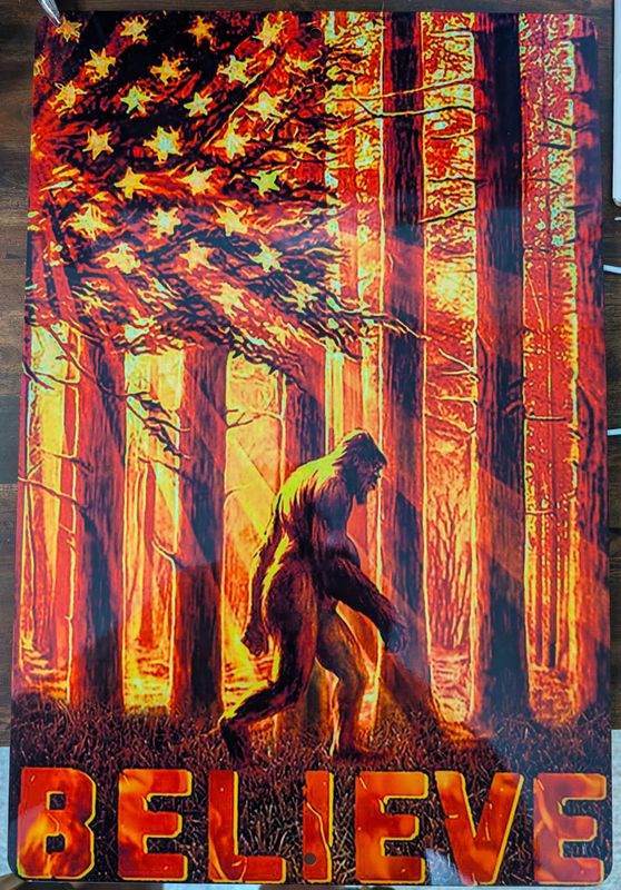 12 x 18 Believe Sign